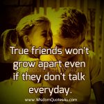 Who is a True Friend? - Wisdom Quotes